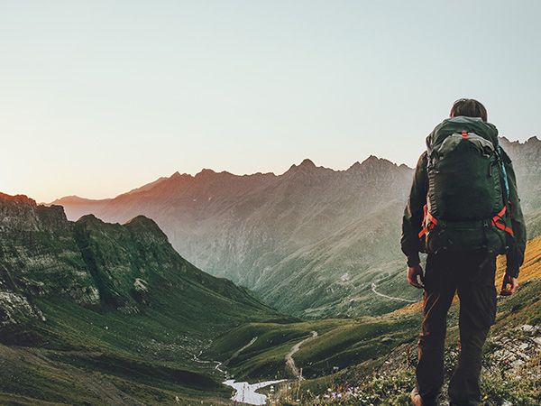 Home - NW Motor Trade