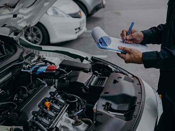 Home | The Motor Family